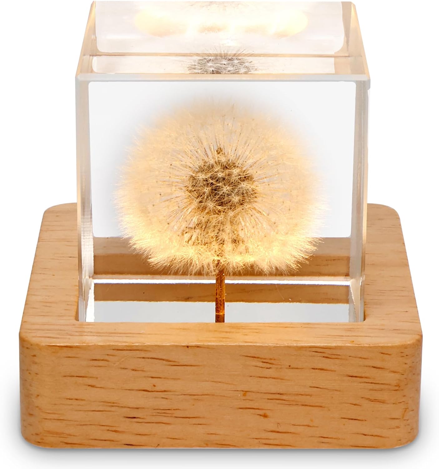 Dandelion Crystal Ball Night Light with Wooden Base USB Powered Glass ...