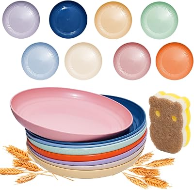 Amazon.com | Peohud 6 Pack Melamine Plates, 11 Inches 100% Melamine ...