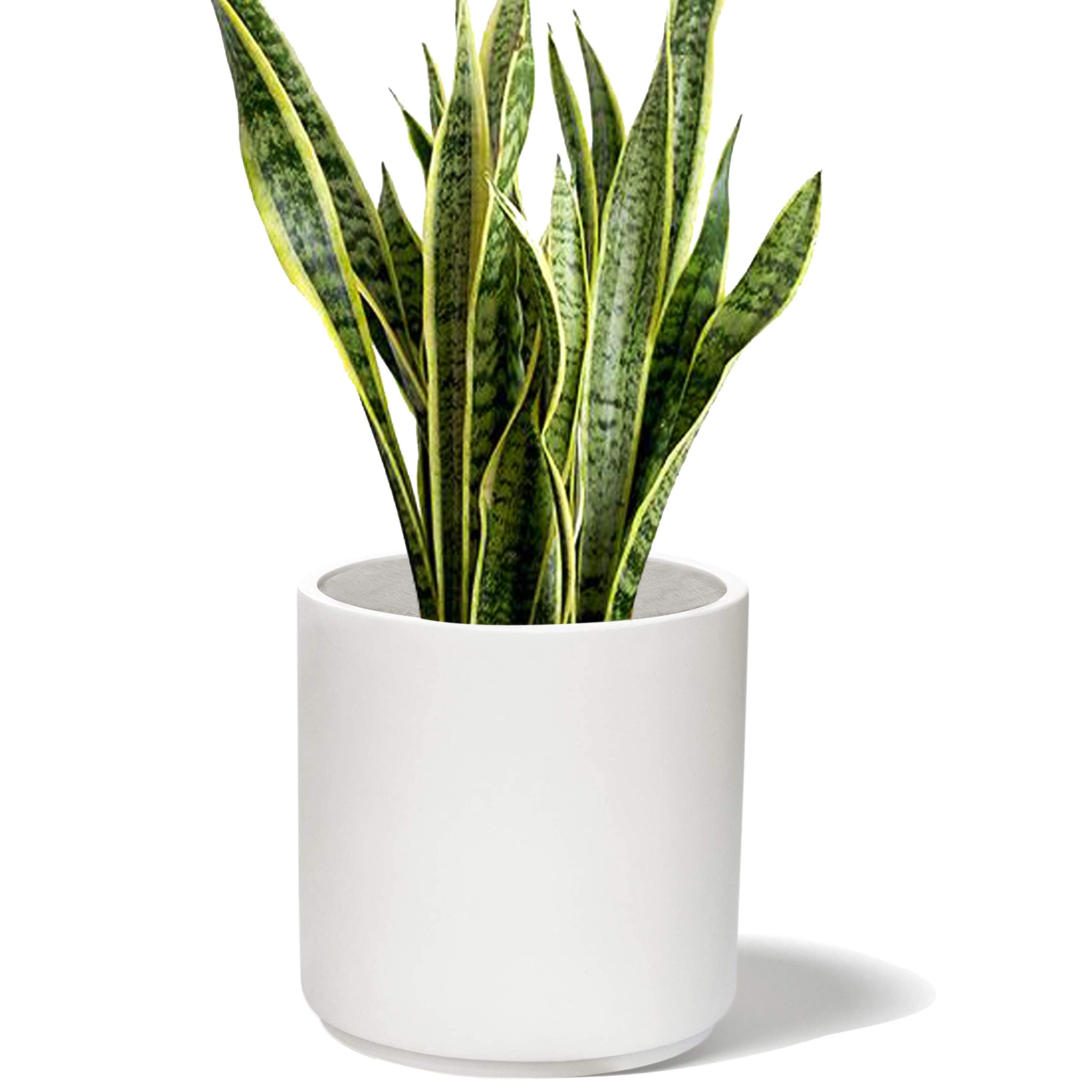 Buy Elly Décor 10 inch Fiberstone er Drainage Hole and Plug,Round ...