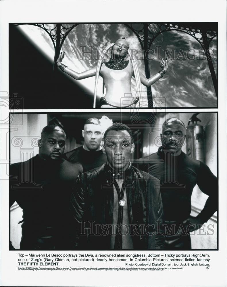 Maiwenn Fifth Element