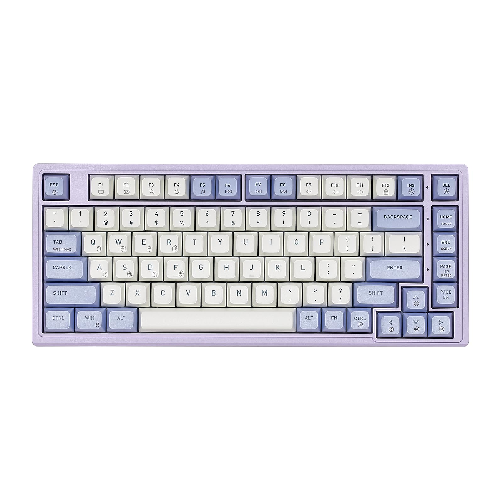 Hexgears M2 Wired Mechanical Keyboard 83 Keys, TKL Hot Swappable Gaming ...