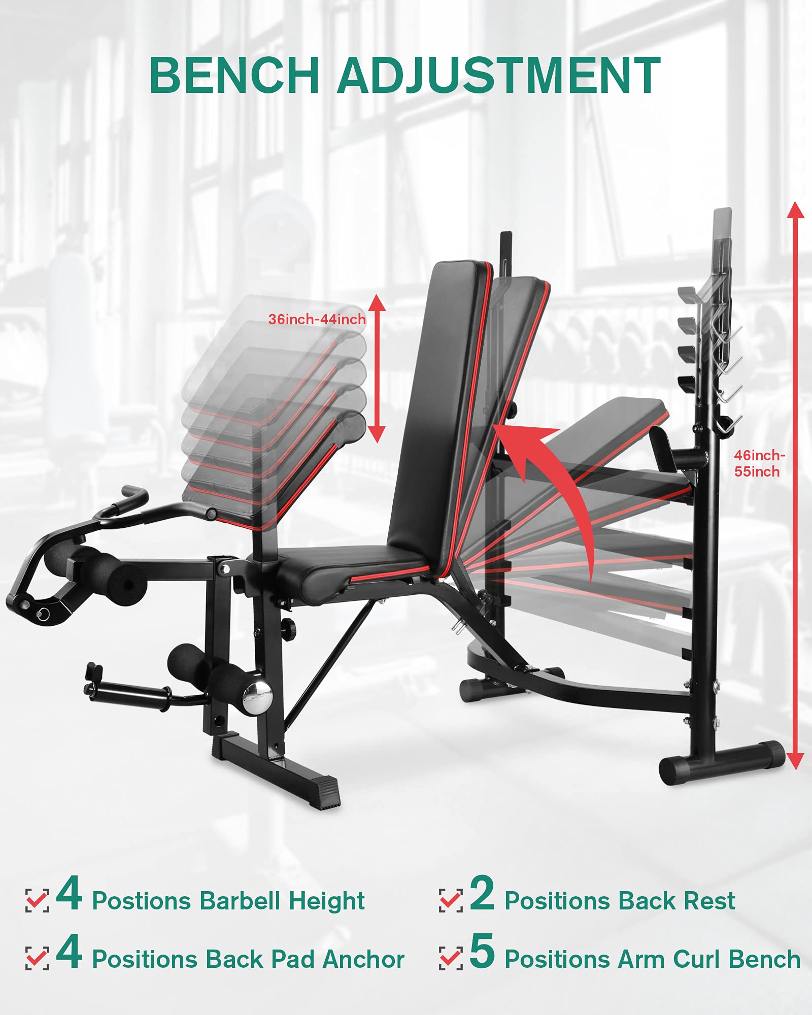 Buy Olympic Weight Bench Adjustable Weight-Lifting Bed Exercise Bench ...