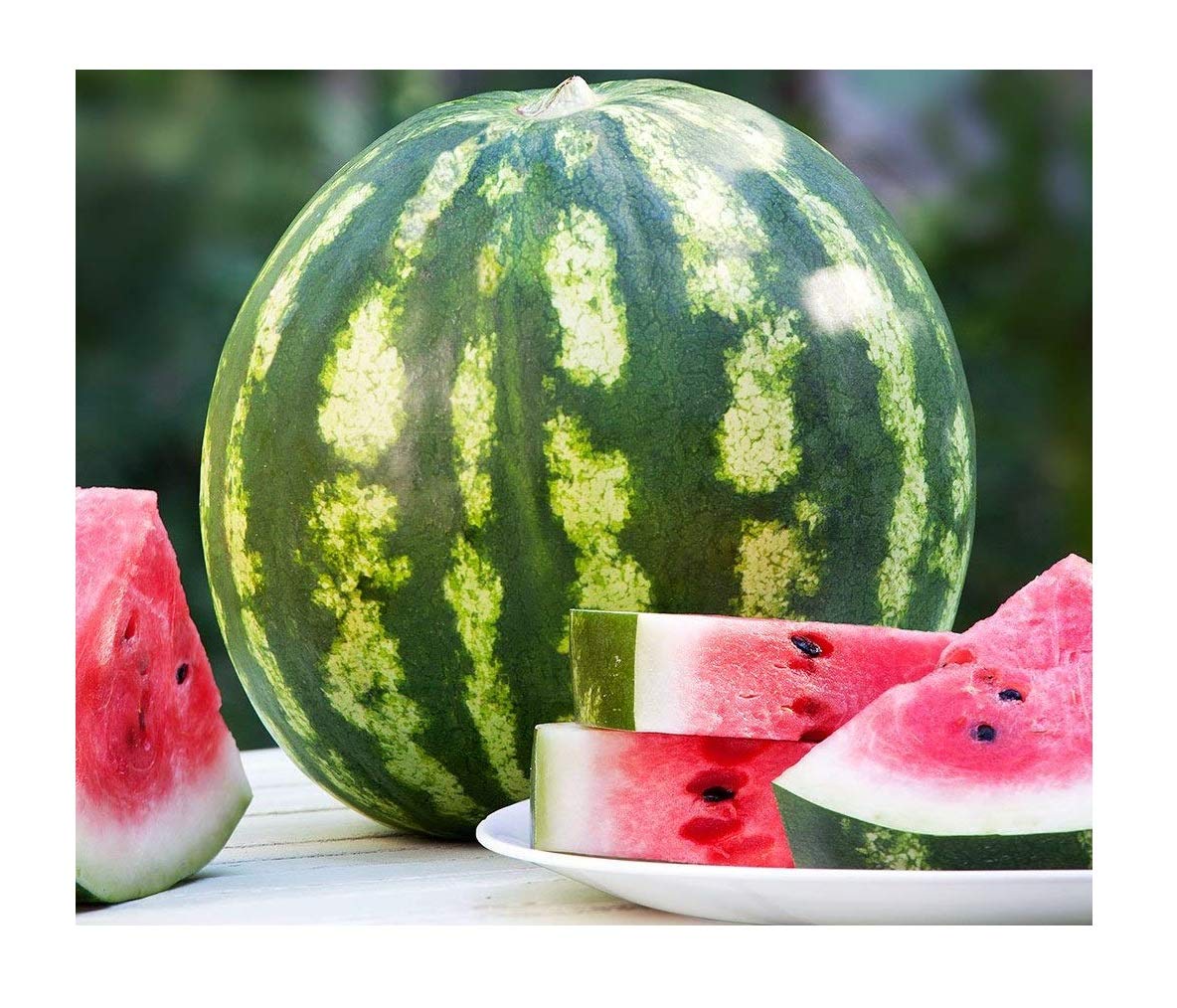 Amazon.com : David's Garden Seeds Fruit Watermelon Crimson Sweet Red 25 ...