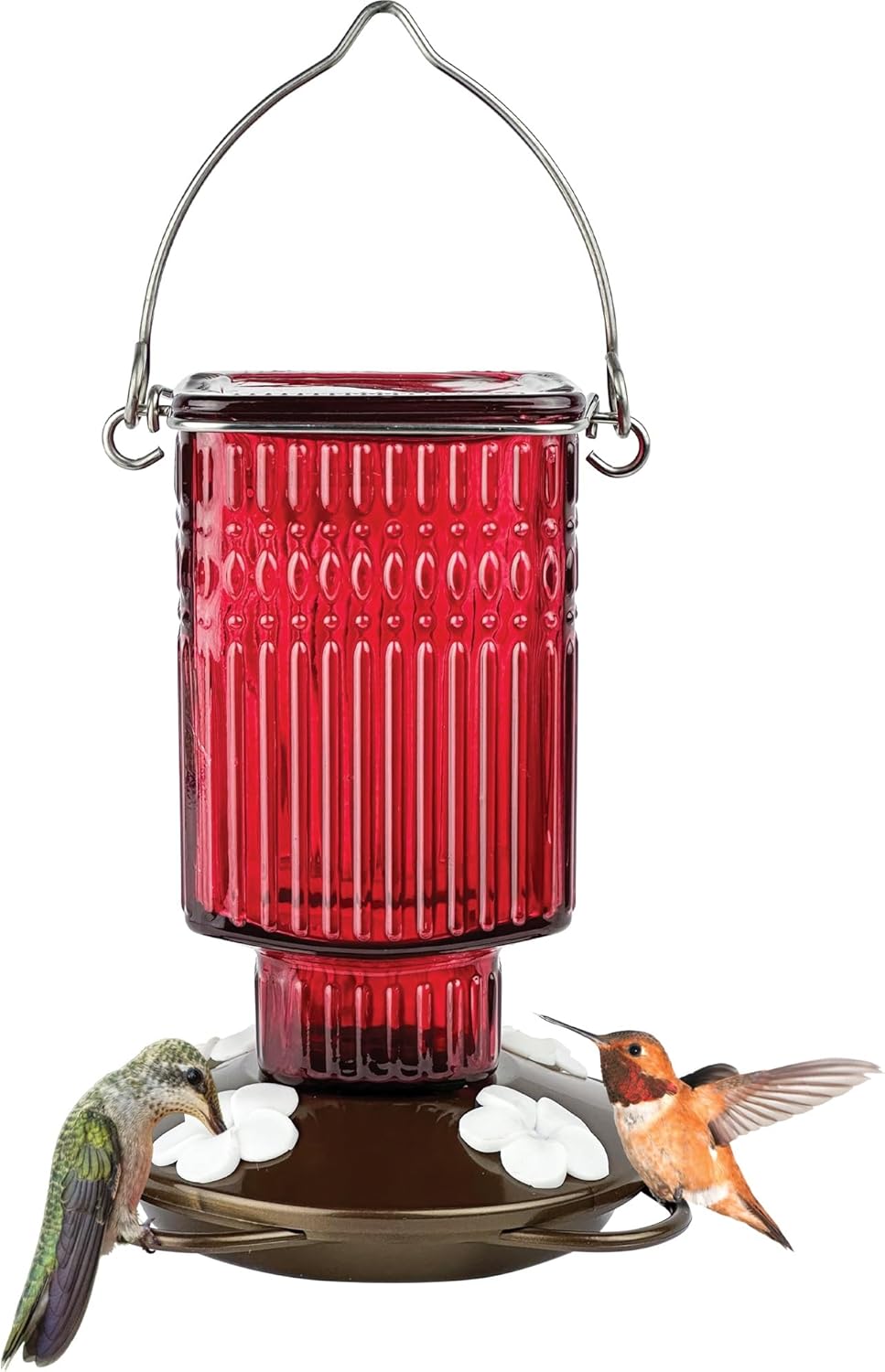 Amazon.com : Nature's Way Hanging Glass Hummingbird Feeder for Outdoor ...