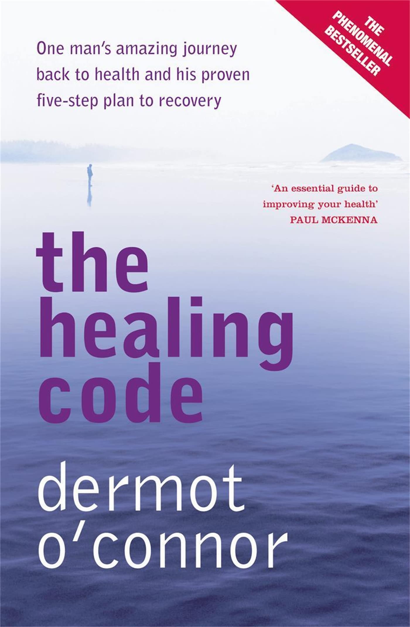 The Healing Code: One Man's Amazing Journey Back to Health and His ...