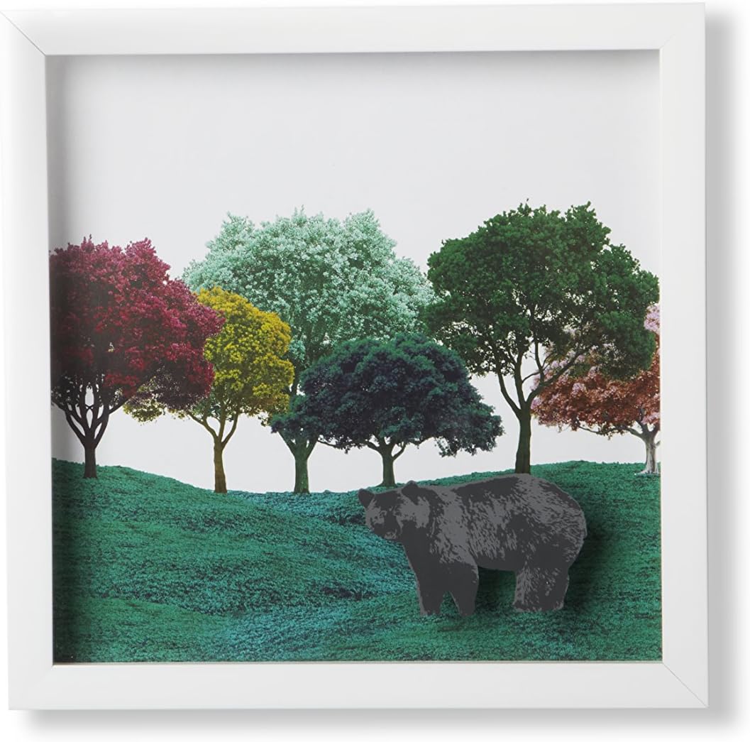 Amazon.com: Umbra Spectra Wall Decor, Bear : Home & Kitchen