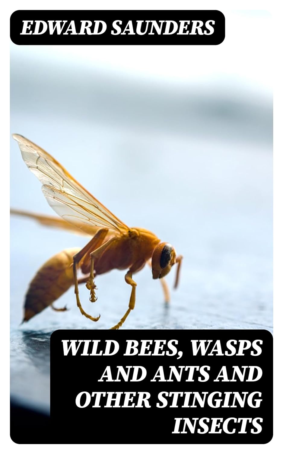 Wild Bees, Wasps and Ants and Other Stinging Insects , Saunders, Edward ...