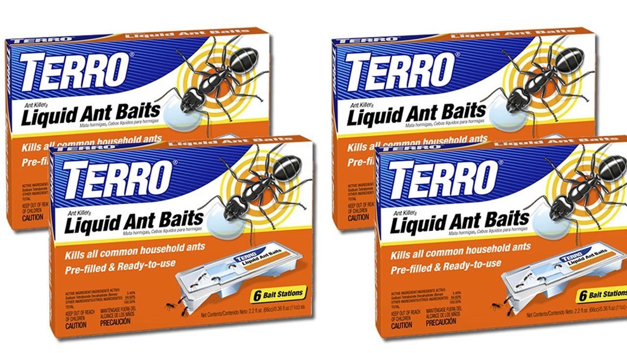 Amazon.com : Terro Liquid Ant Killer Boxed 4 Pack-6 units each : Patio ...