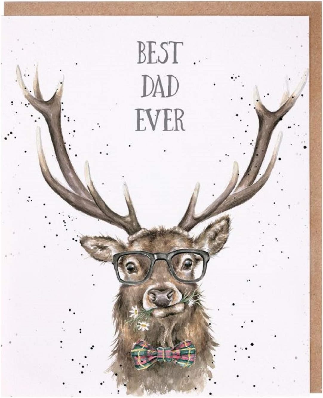 Wrendale Designs - 'Wonderful Dad' Card : Amazon.co.uk: Stationery ...