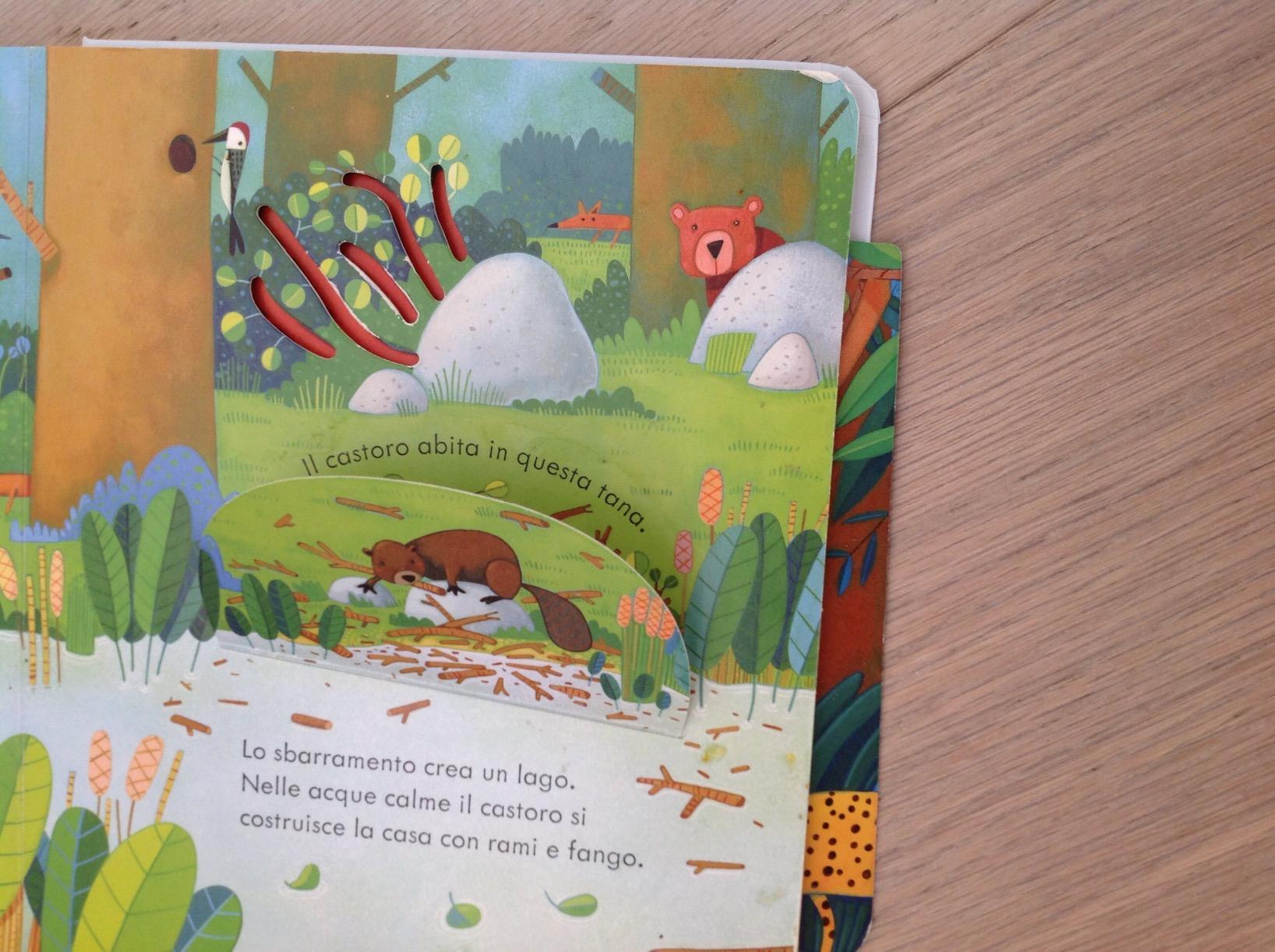 Amazon.it: Case degli animali. Libri cucù. Ediz. illustrata - Milbourne ...