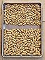 Amazon.com : C.J. Dannemiller RAW Peanuts in the Shell, Fancy, 25 LB ...