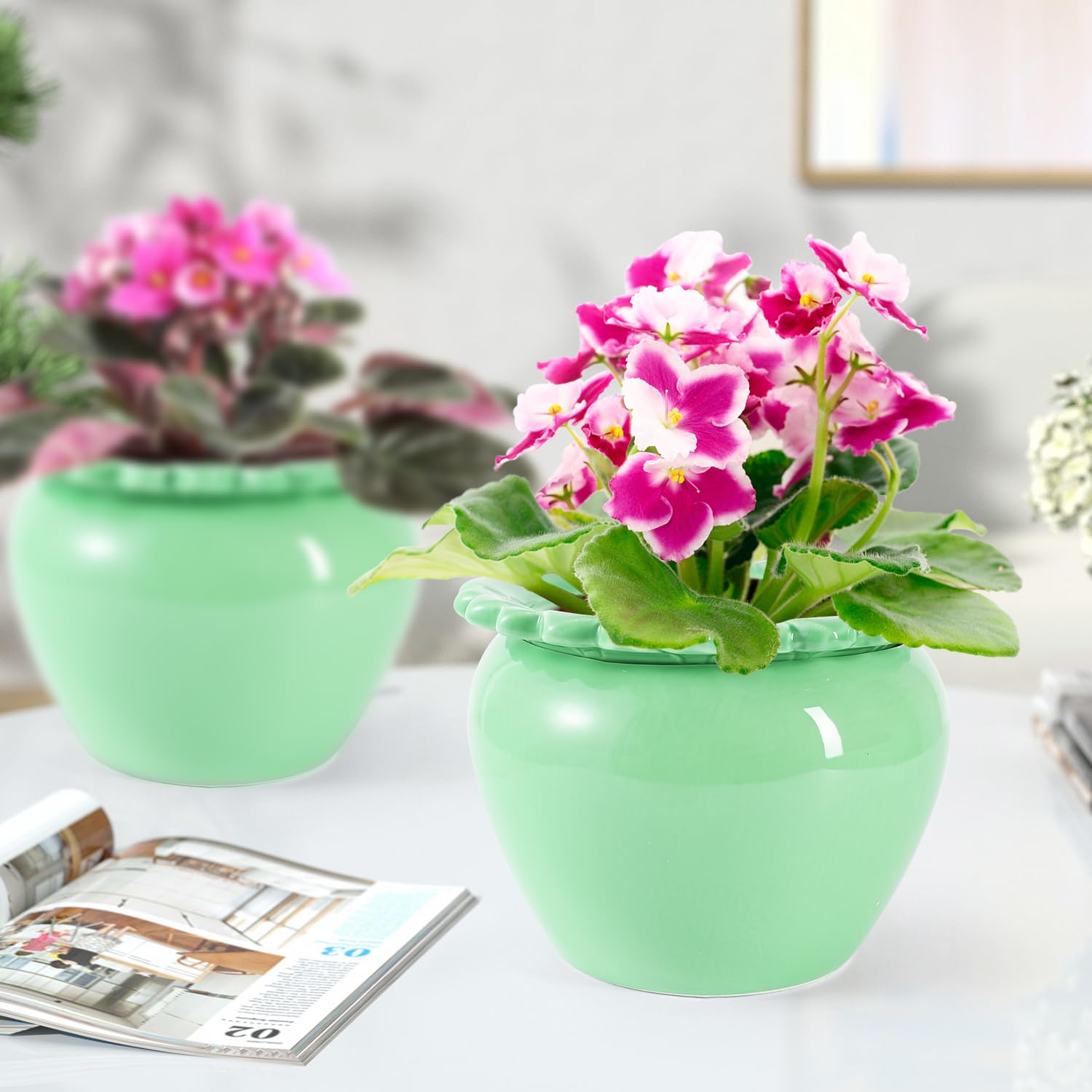 Large African Violet Pots Garden Dilemmas, Delights & Discoveries, Ask