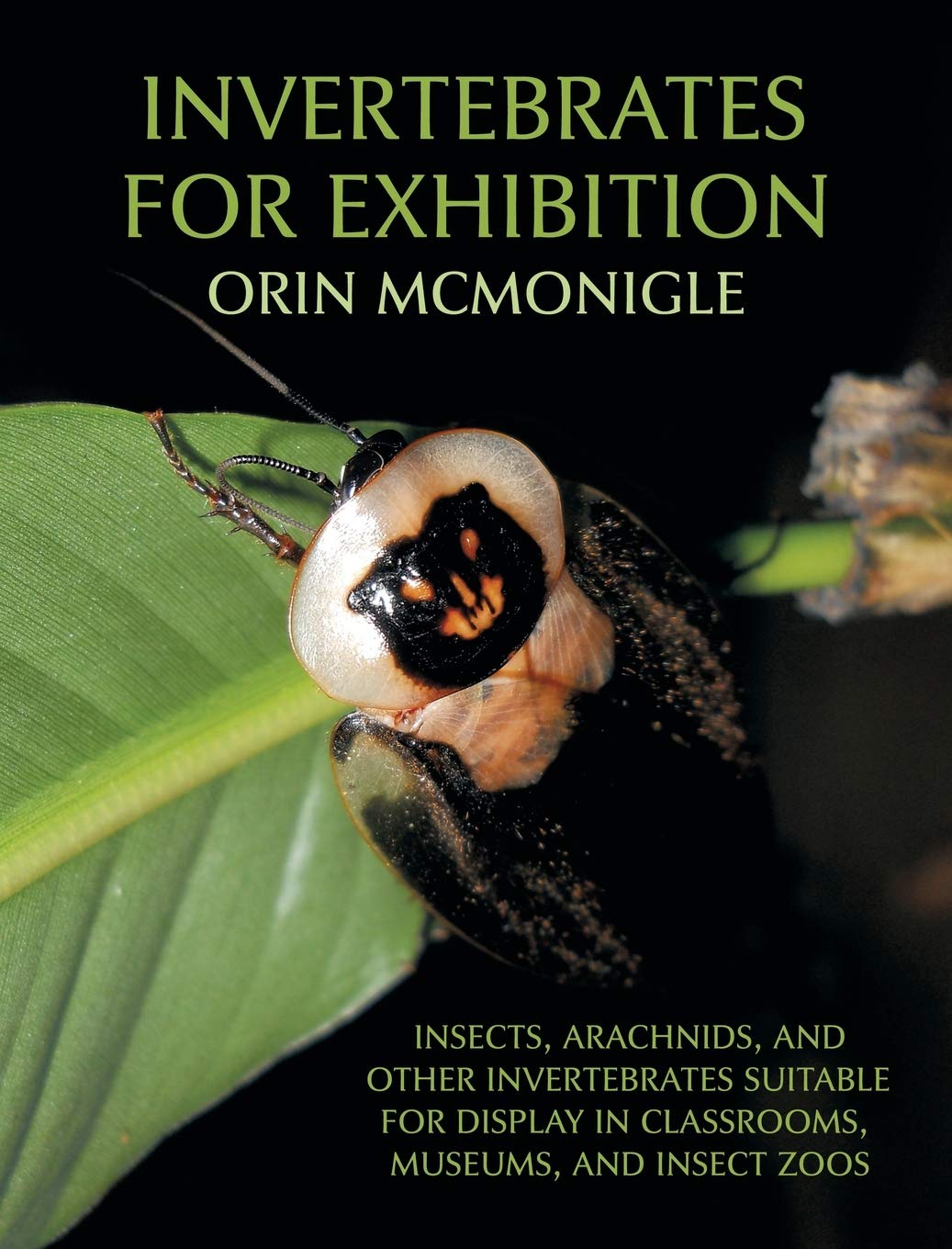 Invertebrates For Exhibition: Insects, Arachnids, and Other ...