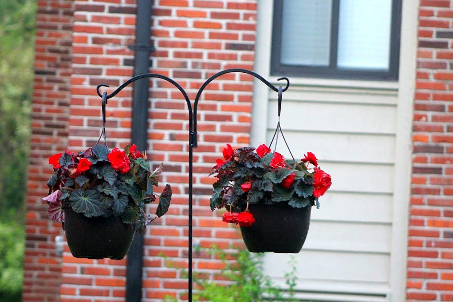 Snapklik.com : Ashman Shepherds Hook 65 Inch Two Sided Shepherd Hook, 1 ...