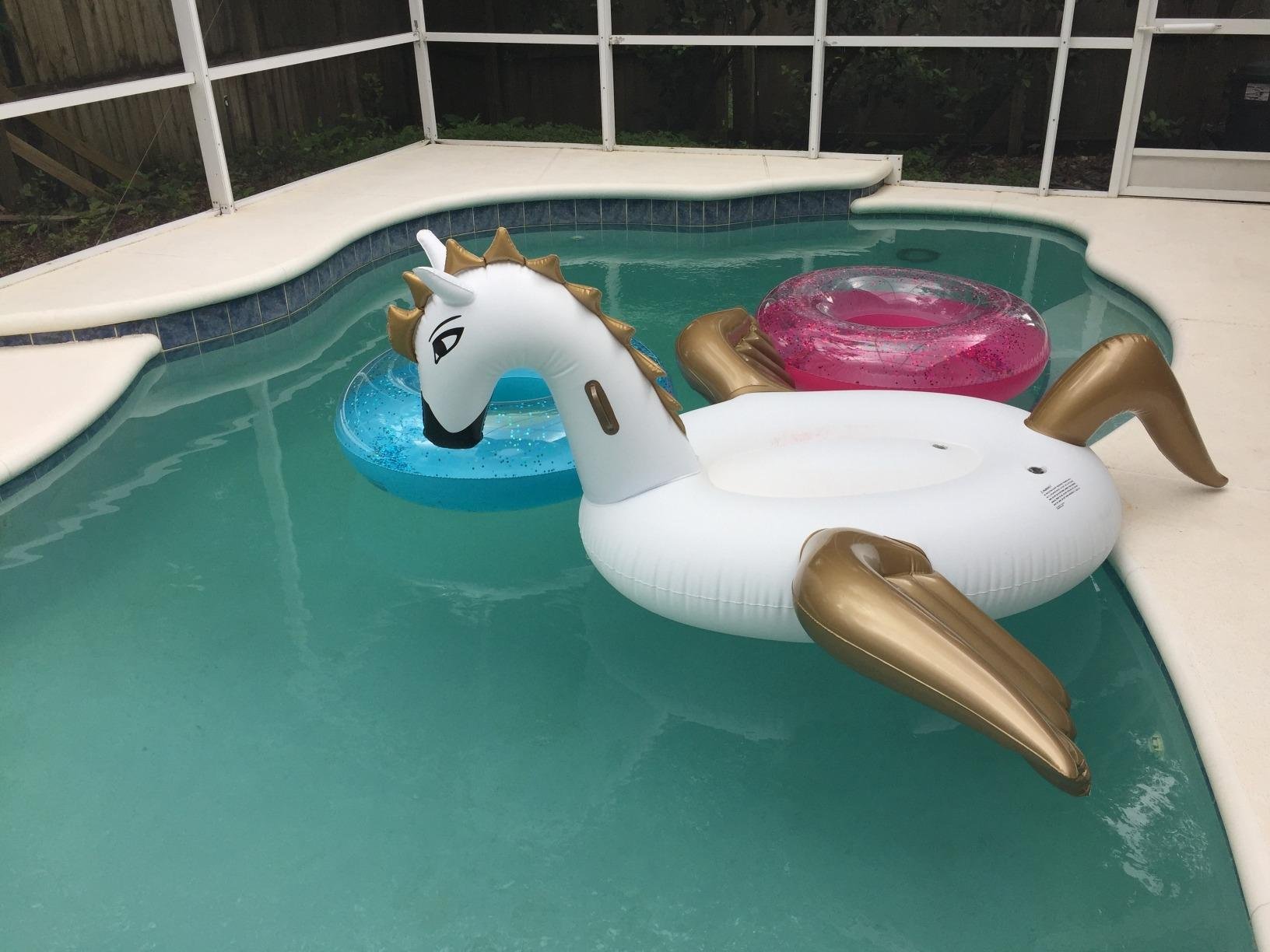 Amazon.com : FUNBOY Giant Inflatable Pegasus Pool Float, Luxury Float ...