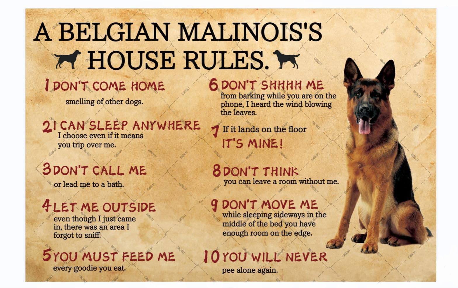 Amazon.com: EMOHAT House Rules Metal Tin Sign by Belgian Malinois Dog ...