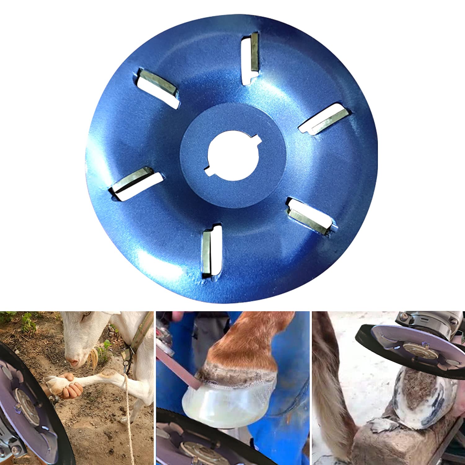Amazon.com: 125mm Diameter 22mm Bore Metal Cow Cattle Hoof Trimming ...