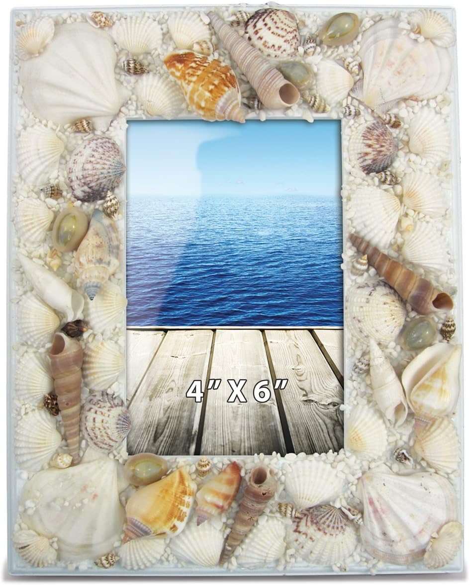 Amazon.com - CoTa Global Ocean Beach 4x6 Frame - Distressed Wood ...