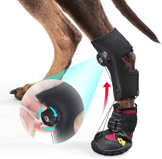 Amazon.com : Drop Foot Brace with Reel(No Knuckling Boot Brace) for Dog ...