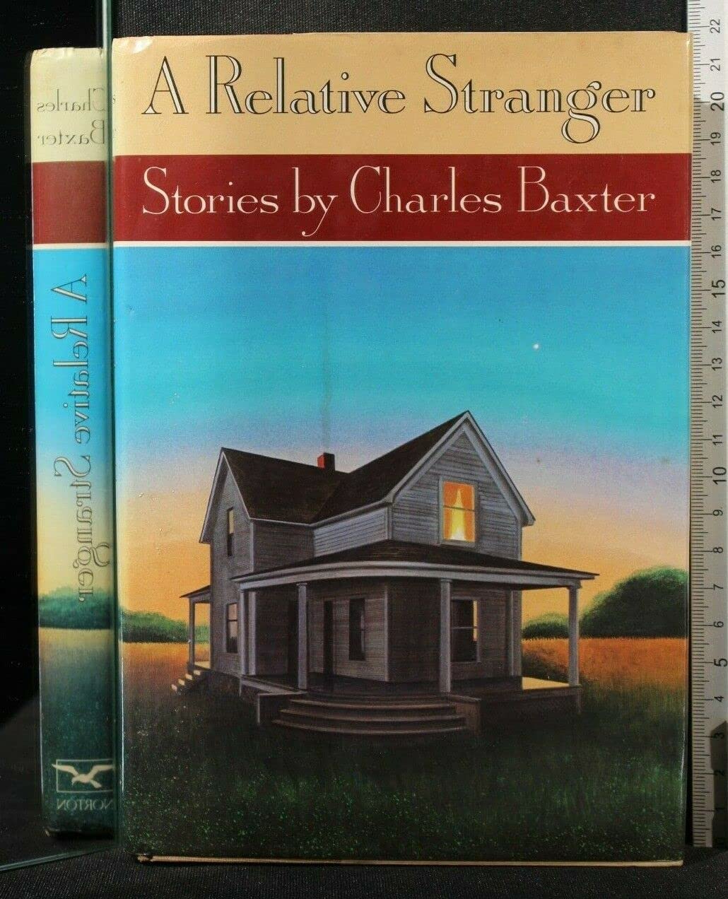 A Relative Stranger: Baxter, Charles: 9780393028676: Amazon.com: Books