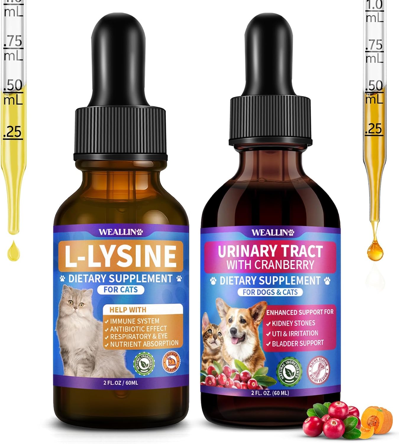 Amazon.com : Cat & Dog Natural Urinary Tract Infection Treatment for ...