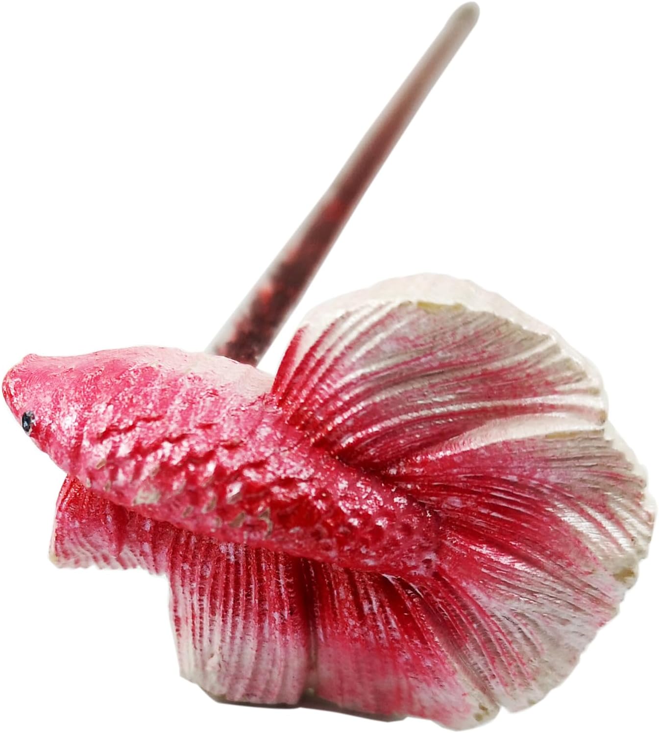 Amazon.com : Fondreco Betta Fish Training Wand, Fish Toys, Fighting ...