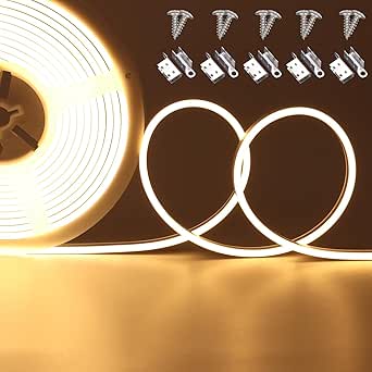 Amazon.com: JOYLIT 4MM Wide Neon LED Strip Lights 24V Outdoor ...