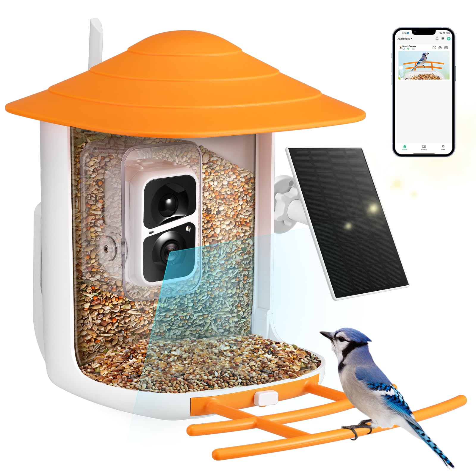 Emjay.bird - Best photos on dibujosparaimprimir.net