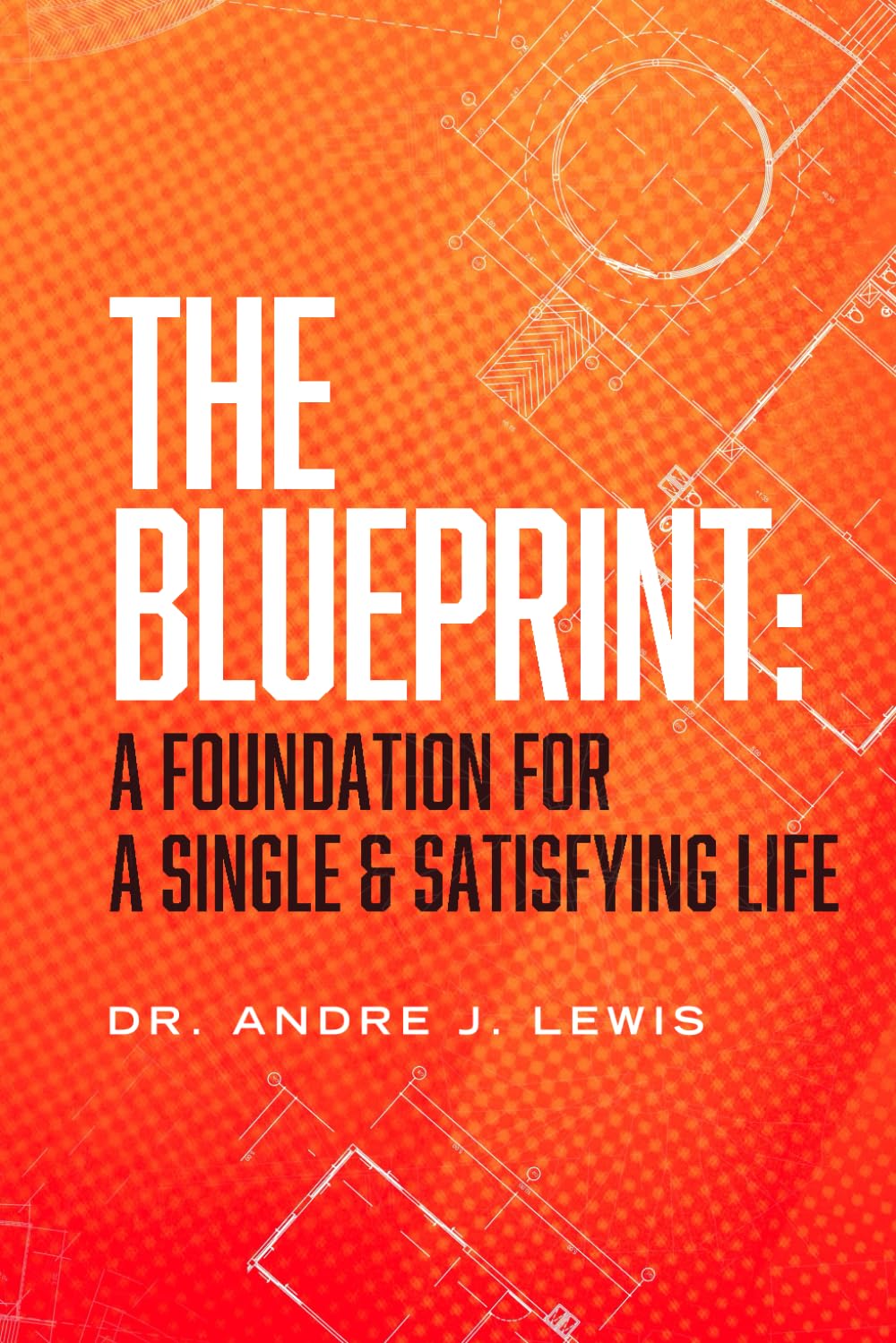 Amazon.com: The Blueprint: A Foundation for a Single & Satisfying Life ...