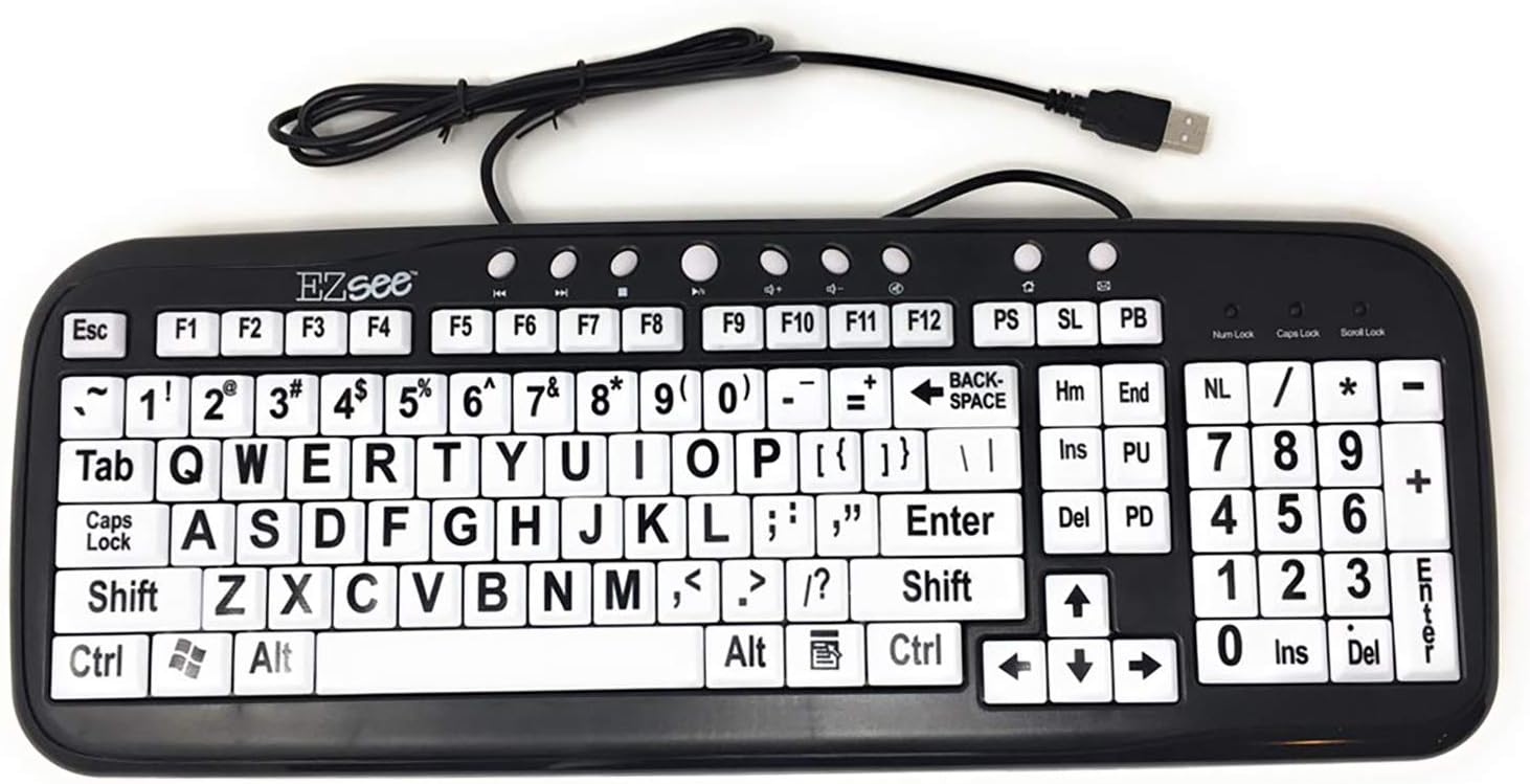 Amazon.com: New and Improved EZSee by DC Large Print English QWERTY ...