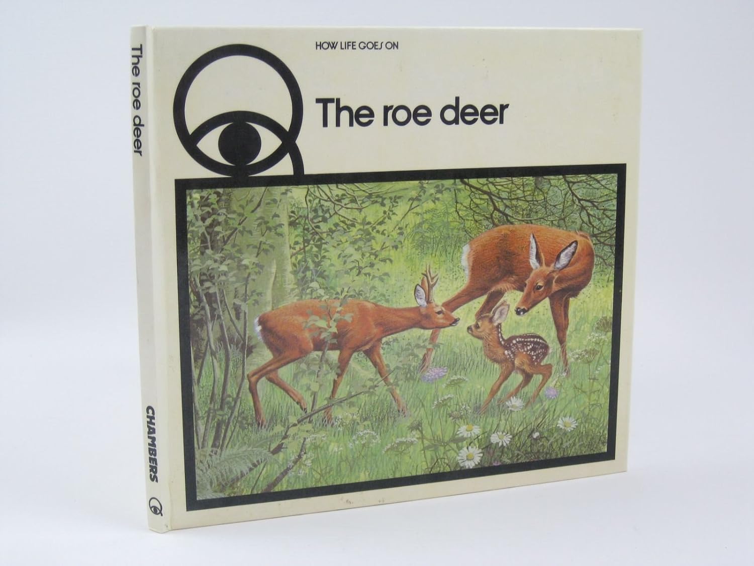 The Roe Deer (Quest Books) : Nicolas, Claude, Roels, Ilaine: Amazon.co ...