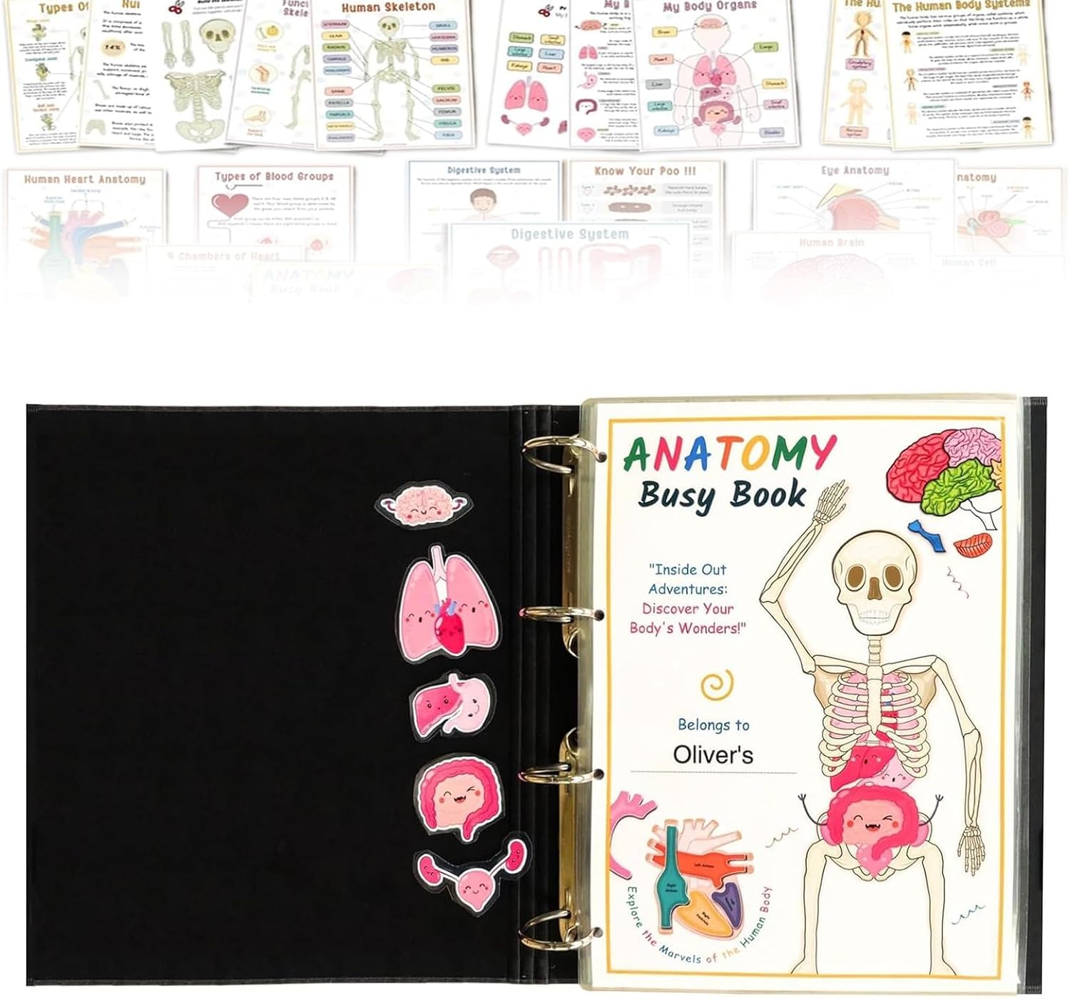 Amazon.com: HKJNFCSR Human Anatomy Busy Book, Human Body Anatomy Busy ...