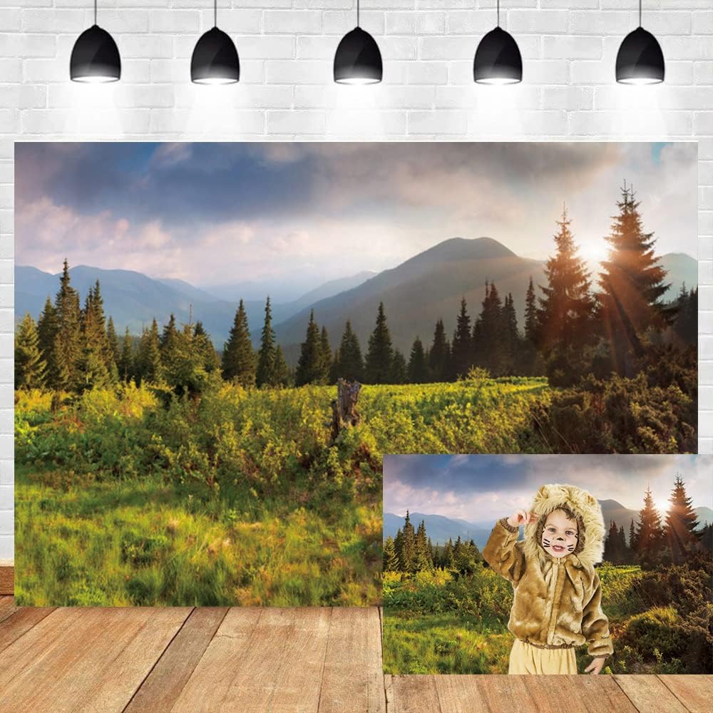 Amazon.com : DORCEV 5x3ft Nature Landscape Backdrop Mountain Forest ...