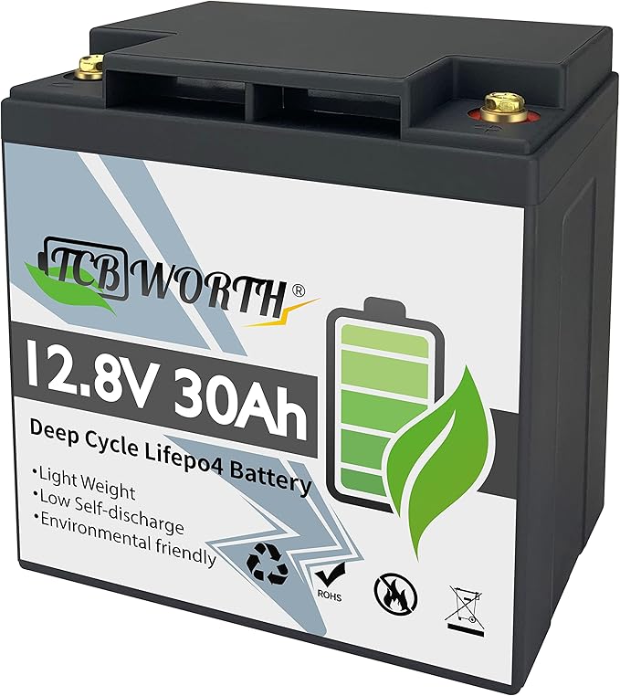 Amazon.com: TCBWORTH Lithium Battery 12V 30Ah LiFePO4 Batteries with ...