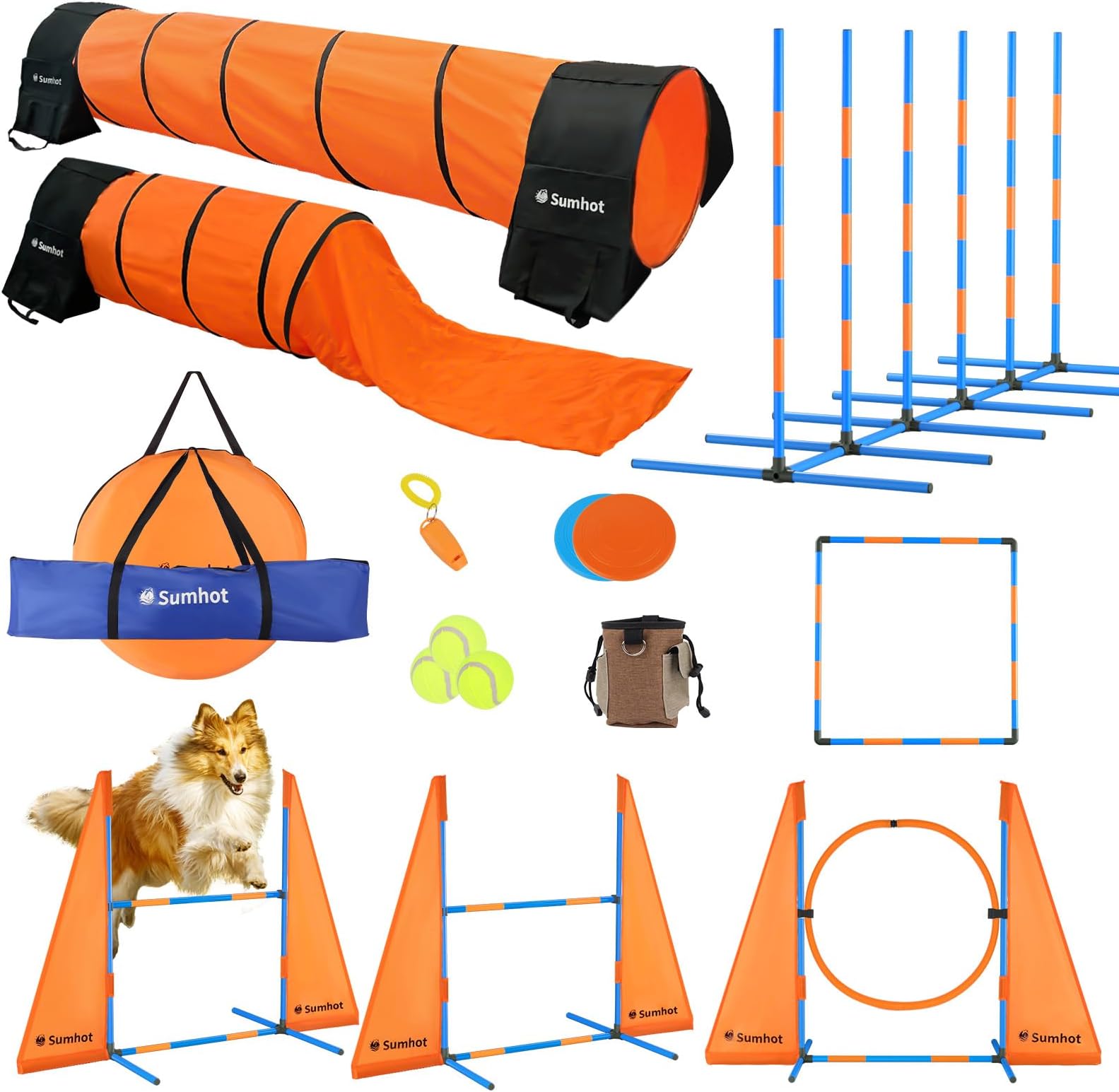 Amazon.com : Dog Agility Training Equipment for Indoor Outdoor, Puppy ...