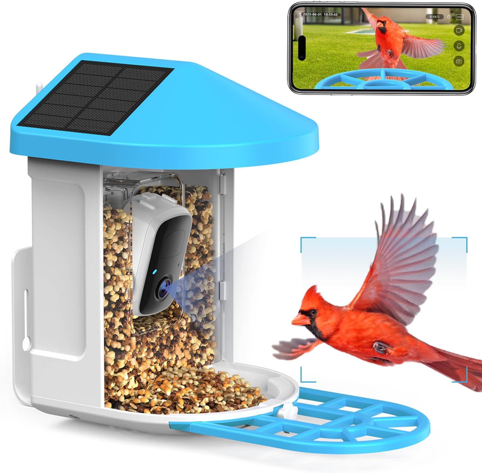 Amazon.com : Bird Feeder with Camera Solar Powered: Smart Camera Bird ...