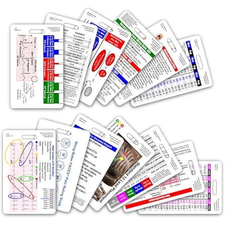 Amazon.com: Comprehensive Horizontal Badge Card Reference Set - 30 ...