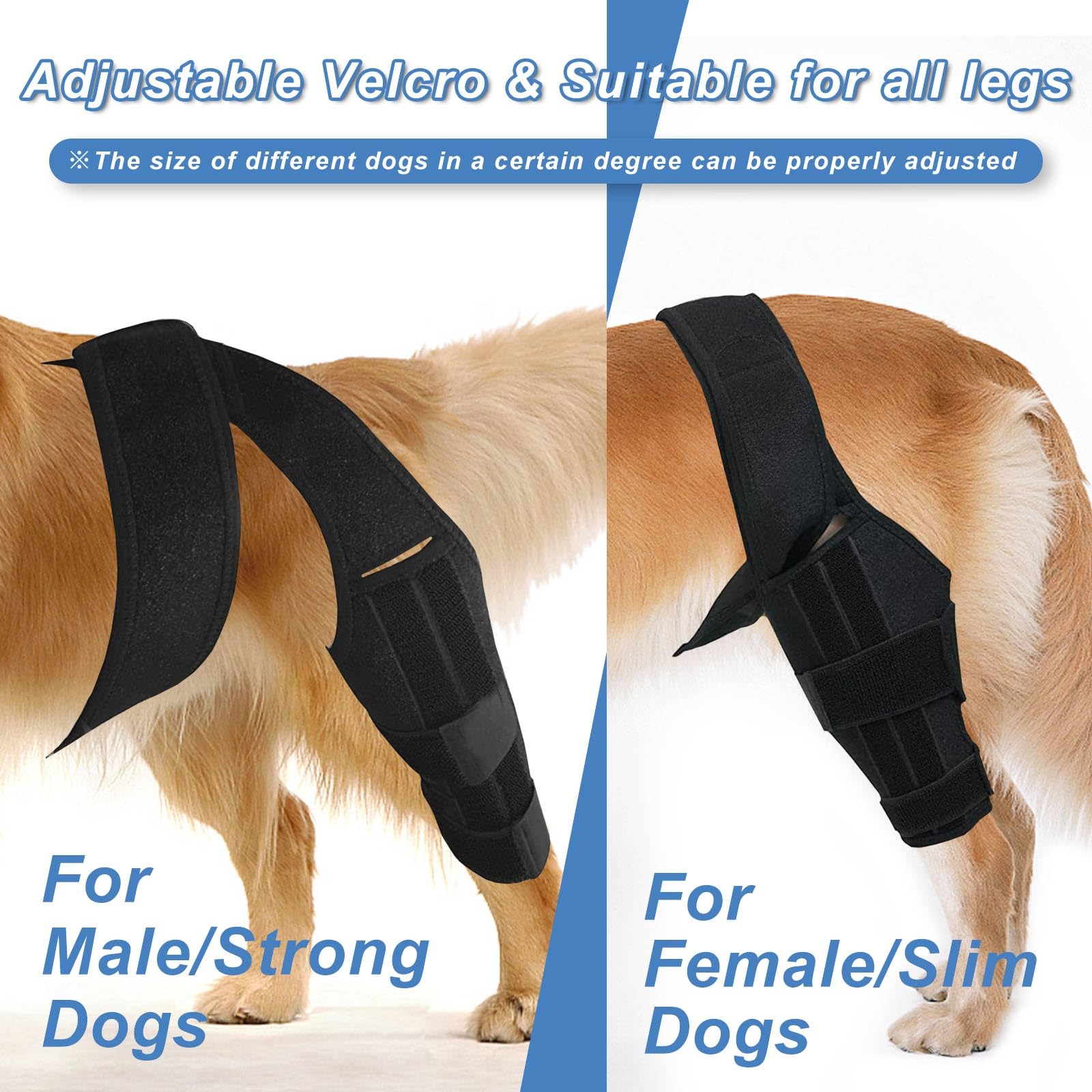 Hyspovian Comfortable Dog Knee Brace for CCL & ACL & Arthritis & Torn ...
