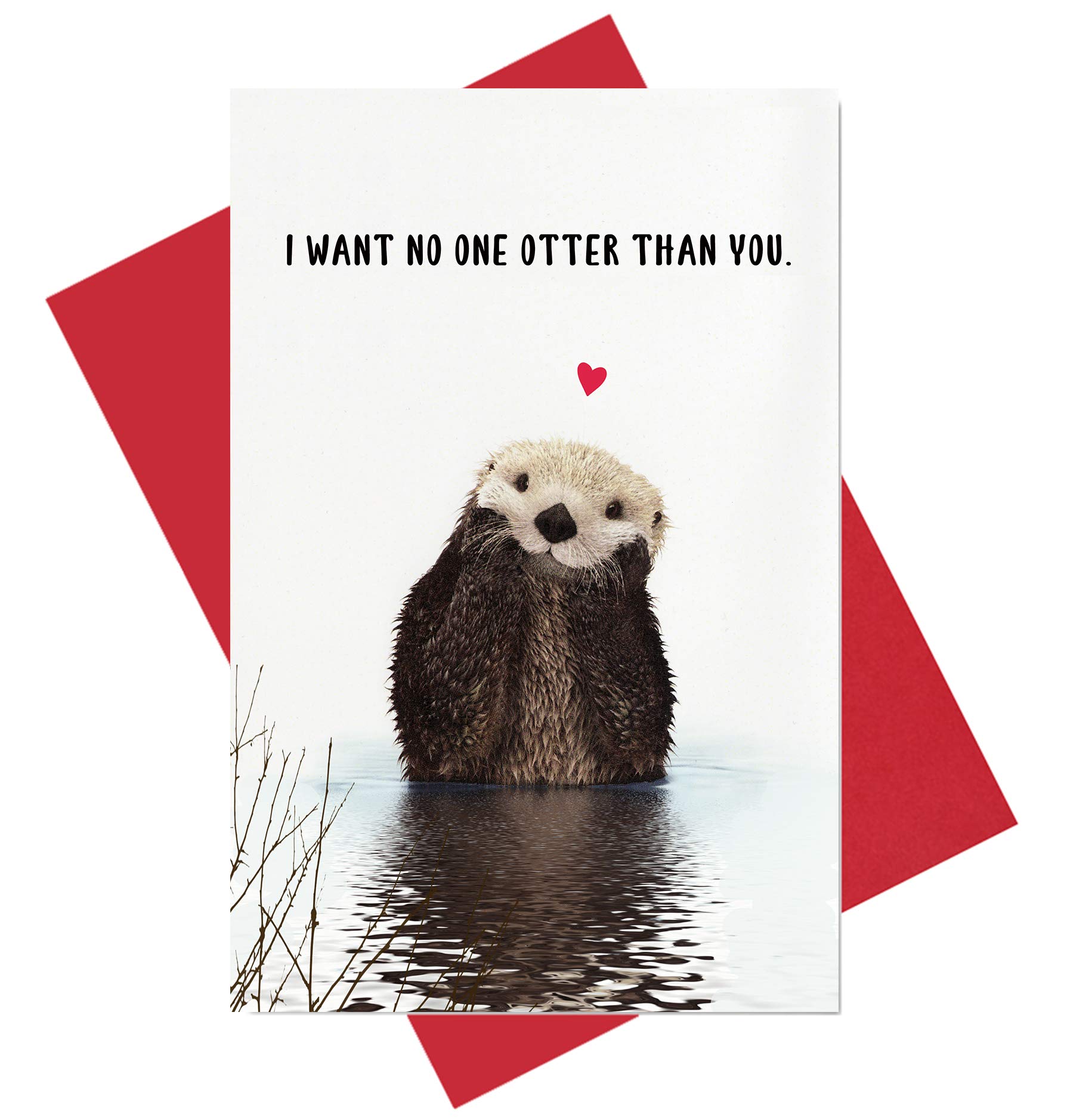 Otter Love Memes I Love You Like No Otter: A Funny And Sweet Book For