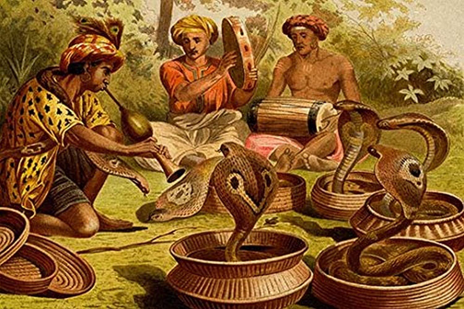 Indian Cobra Art