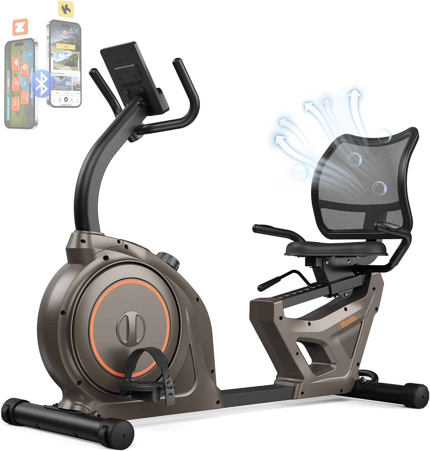 Amazon.com : Niceday Recumbent Exercise Bike, Recumbent Bike for Home ...