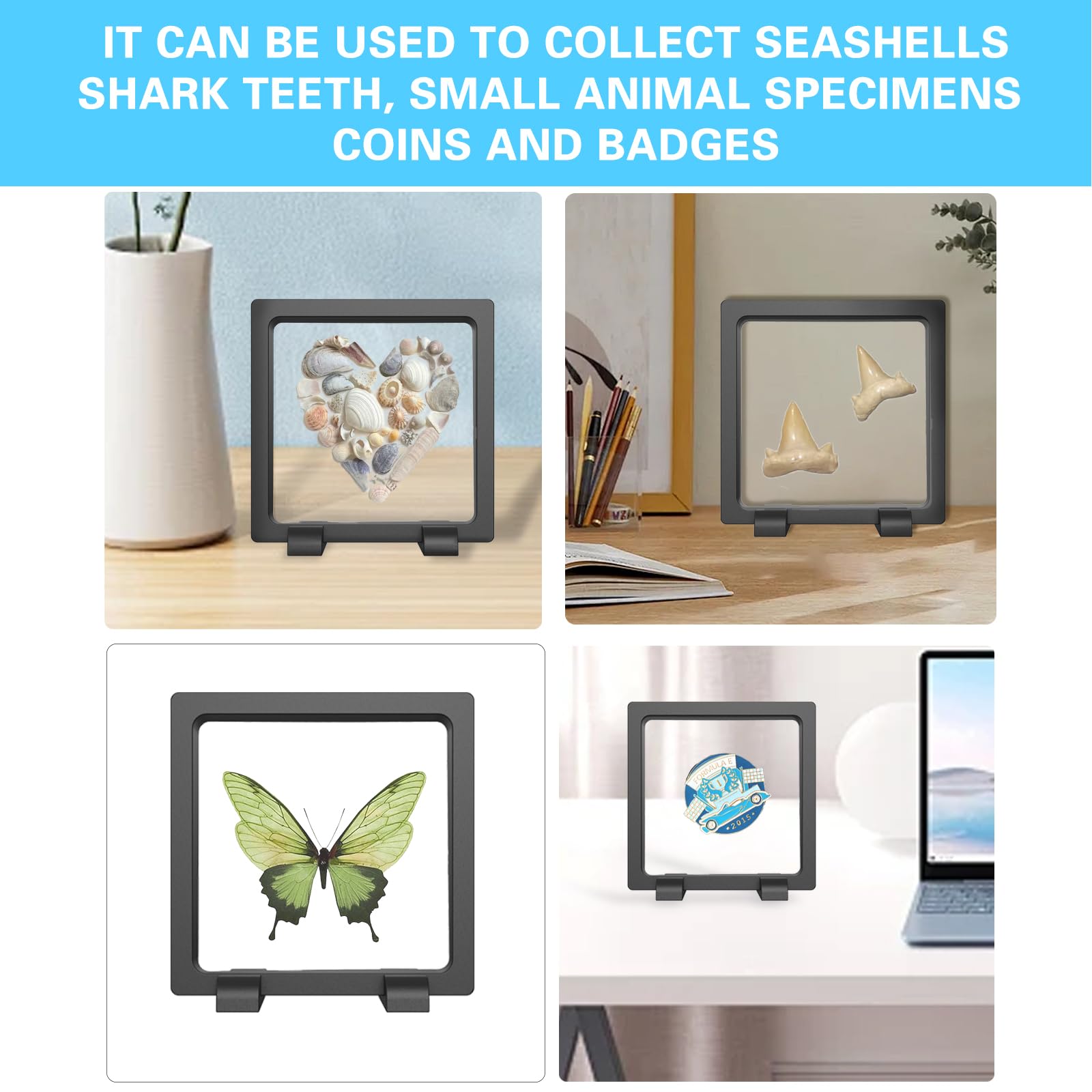 Snapklik.com : DEALSGOGO 2pcs Seashell Holder, 3D Floating Seashell ...