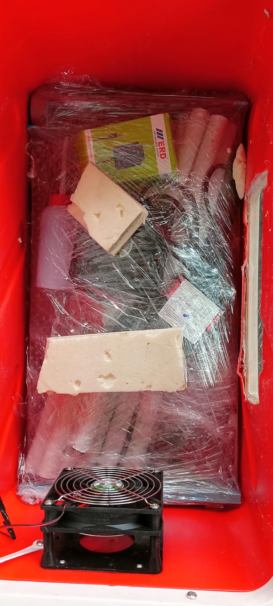 Buy Hatchpro 50 eggs incubator fully automatic | with viewing window ...