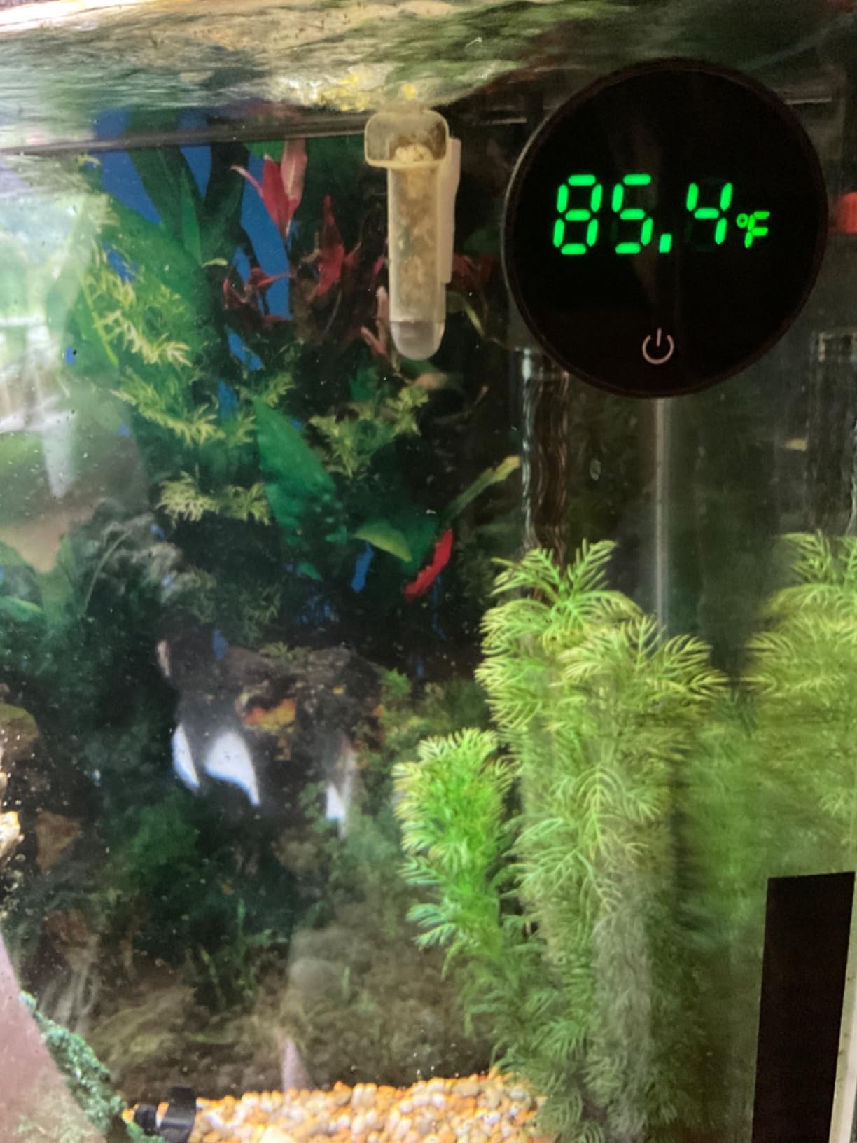$2/mo - Finance DaToo Aquarium Thermometer Rechargeable Digital LED ...