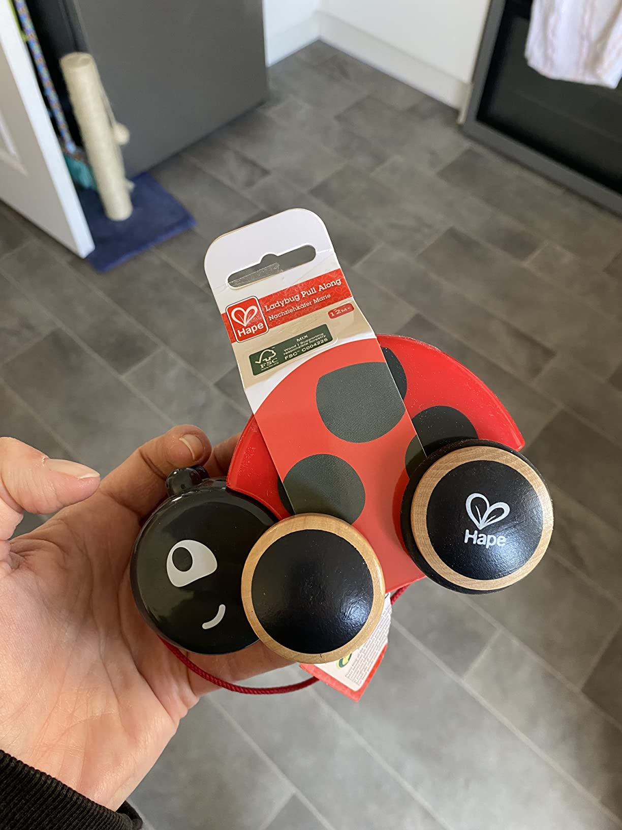 Hape E0362 Ladybug Pull Along Wooden Toy : Amazon.co.uk: Toys & Games