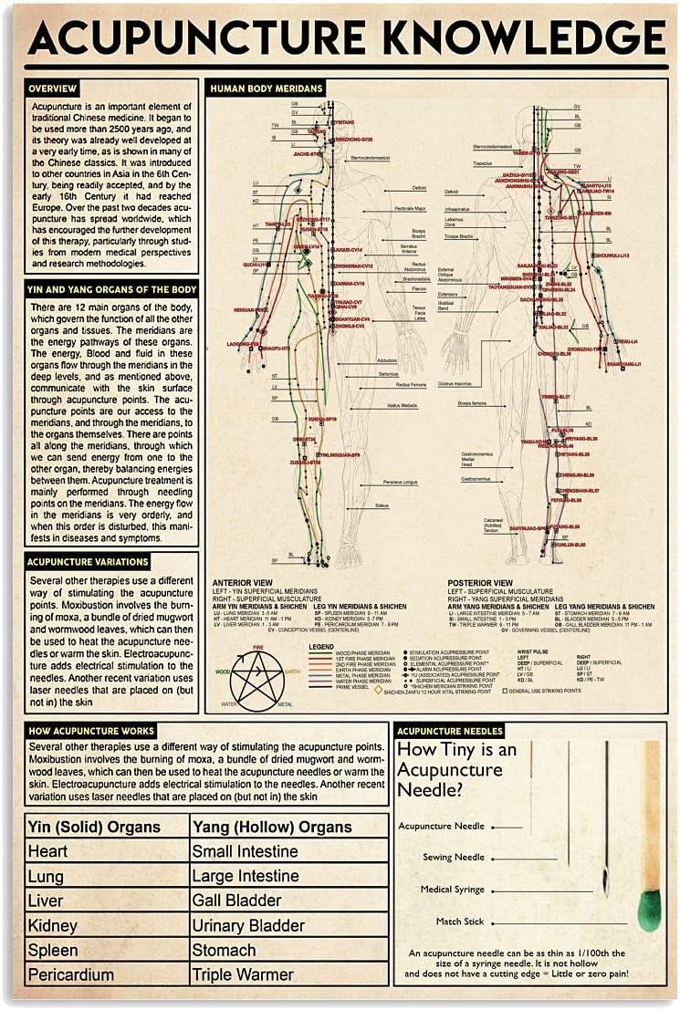 Amazon.com: Acupuncture Knowledge Metal Signs Medical Science ...
