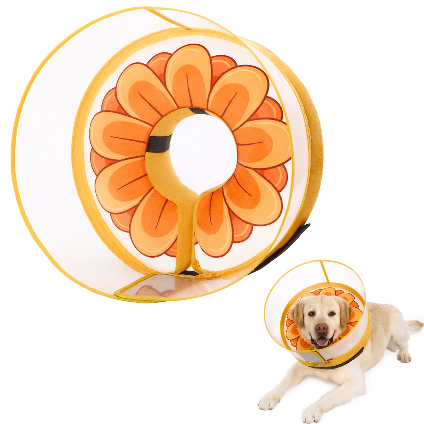 5 Best Elizabethan Collar | Ditch The Plastic Cone