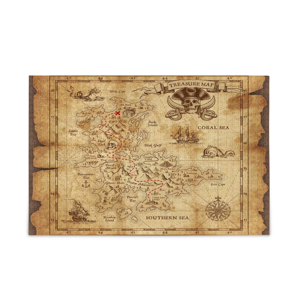 Pirate Treasure Map Compass