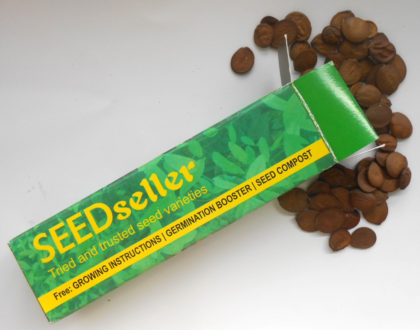 SEEDseller Bauhinia variegata Rakta-kanchan Kachnar Flowering Tree ...