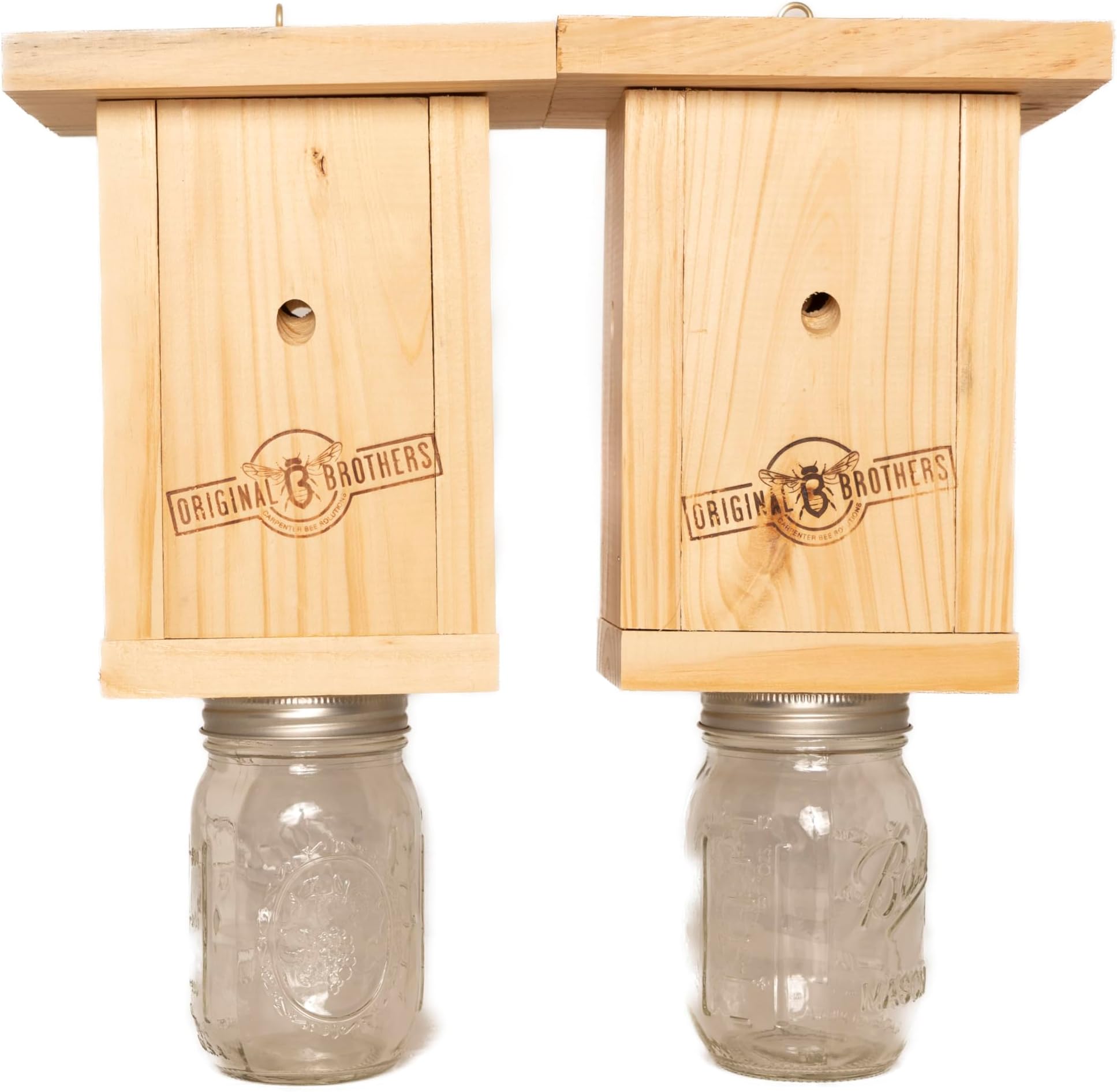 Amazon.com : Bee Warehouse - Carpenter Bee Trap - Wood Boring Bee Trap ...